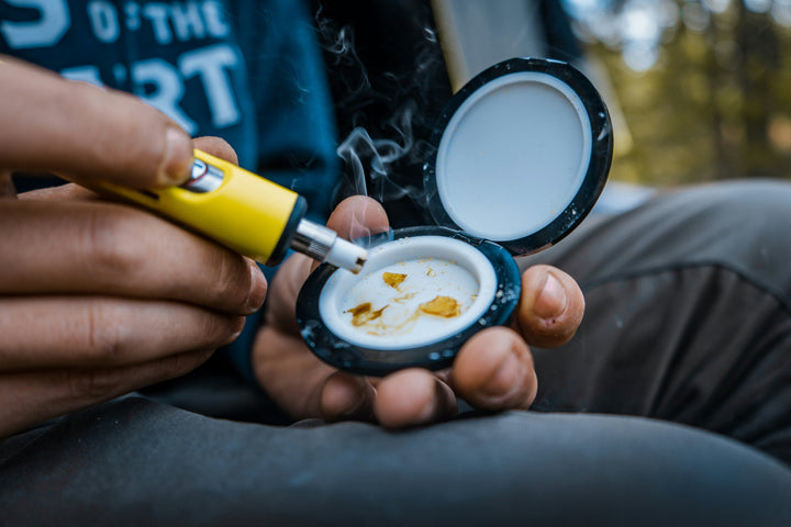 The Sesh Report | E10 Labs, Cannabis, Hemp and CBD News – Tagged "terp ...